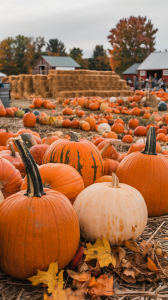 12 Best Fall Festivals in Ohio: Embrace Autumn's Joys and Traditions ...